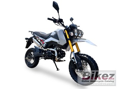 2025 Ice Bear Rogue Adv 125 specifications and pictures